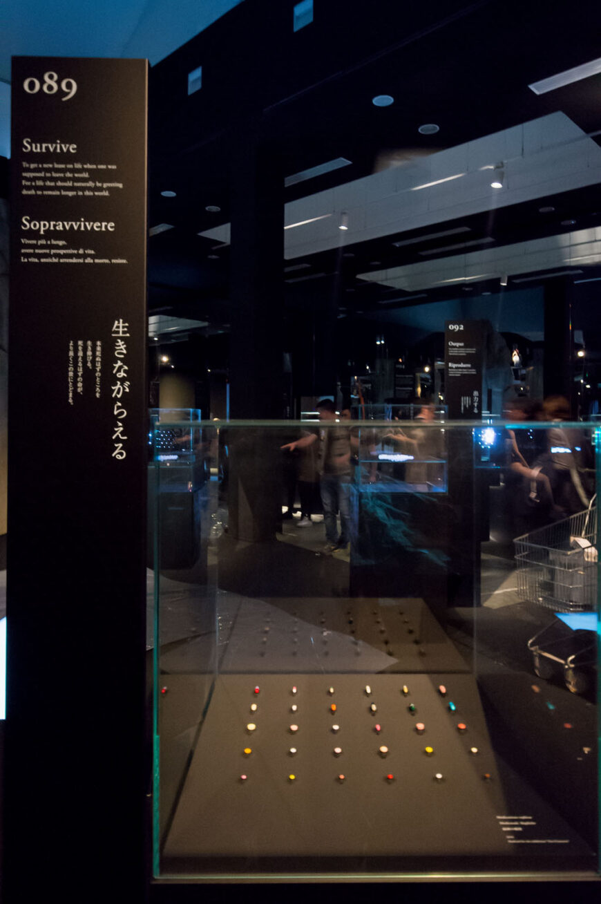 XX1T Milano | Neo Preistoria. 100 verbi | Inexhibit