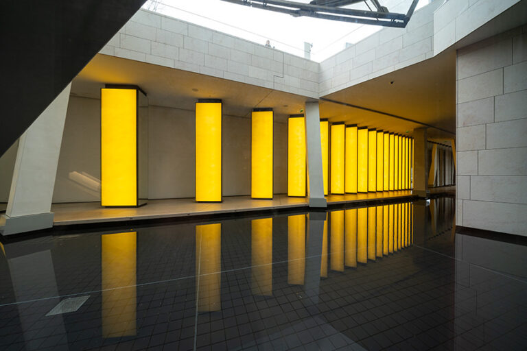 Fondazione Louis Vuitton, Parigi - Frank Gehry | Inexhibit